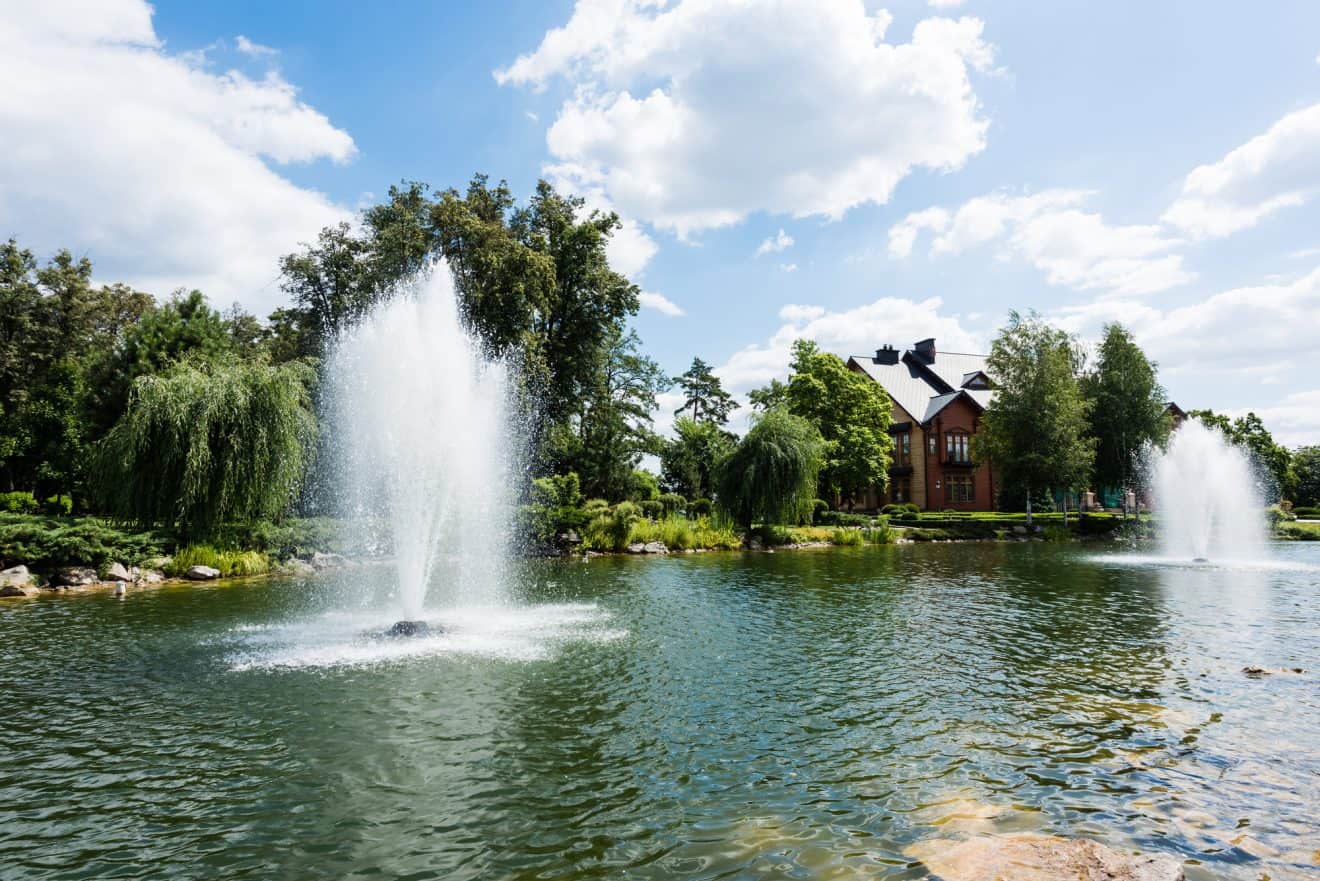 Pond Talk - Pond Advice For Small And Large Ponds